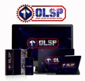 The OLSP System Review – Unveiling Traffic Secrets