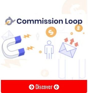 The OLSP System Review – Unveiling Traffic Secrets