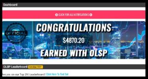 The OLSP System Review – Unveiling Traffic Secrets