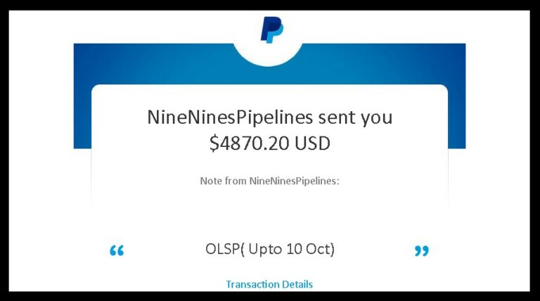 The OLSP System Review – Unveiling Traffic Secrets