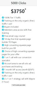 Wayne Crowe’s Solo Ads Review – Complete Traffic Domination